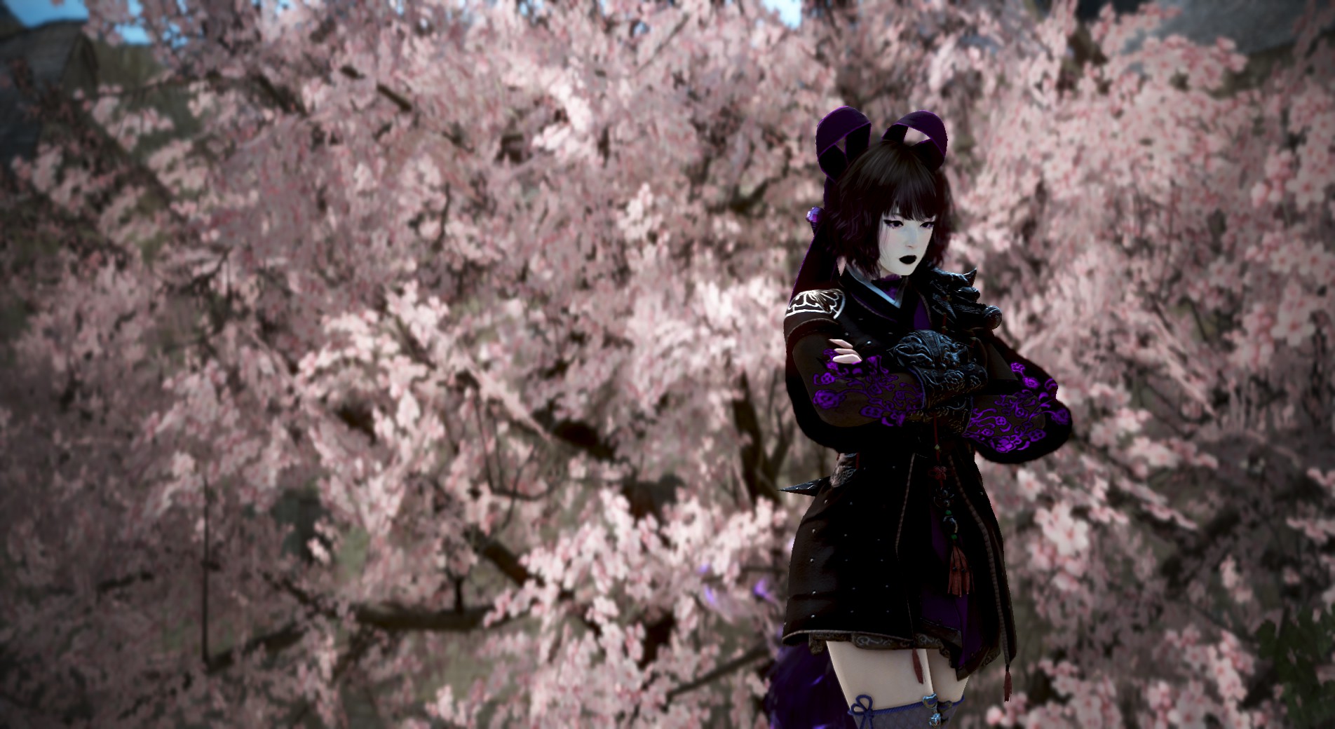 [Screenshots & Clips] [Cherry Blossoms] 🍒 | Black Desert Turkey/MENA