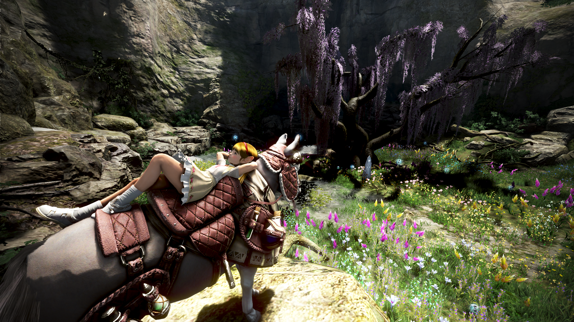 [Events] Fly High, Donkuanatt!