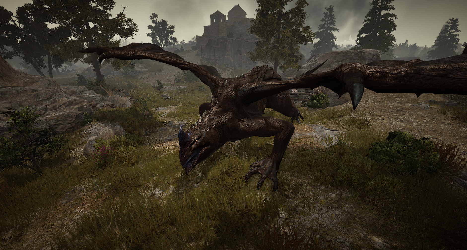 [Game Play] GUIDE: BLACK SHADOW FIELD BOSS RAID | Black Desert Asia (TH ...