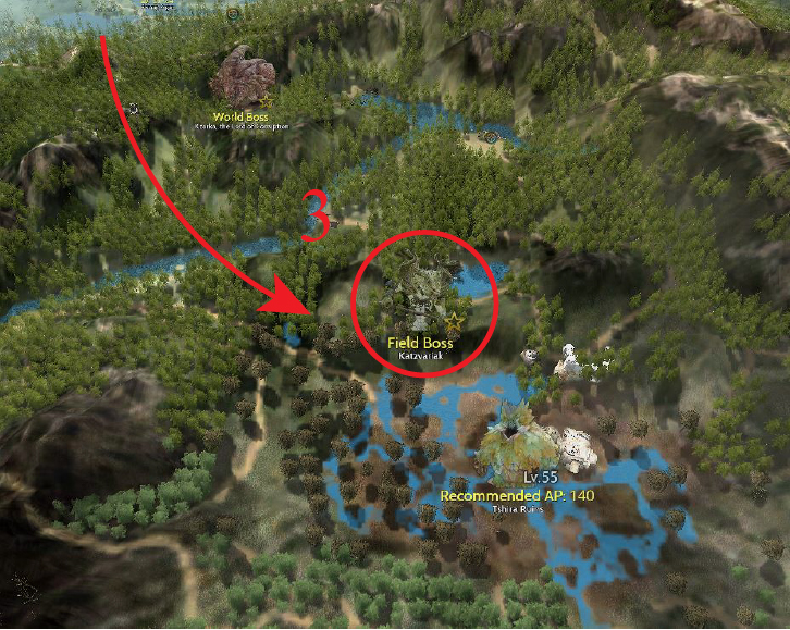 [Game Play] GUIDE: FIELD BOSS RAIDS ROTATION | Black Desert Asia (TH/SEA)