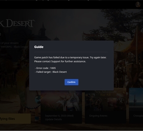 [General Gameplay] Issue on game launcher