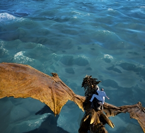 [Screenshots & Clips] [Duskwing] Getting close to the Water