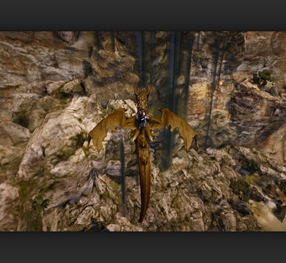 [Screenshots & Clips] [Duskwing] finding GM | Black Desert Asia (TH/SEA)